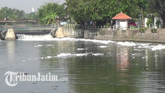 Pemerhati Lingkungan, Sungai Kali Mas Surabaya Tercemar dan di Bawah Baku Mutu Kelas Air ...