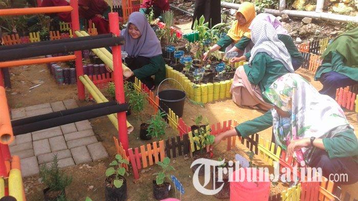 Deretan Manfaat Tanaman Obat Keluarga atau Toga untuk Kesehatan, Cegah ...