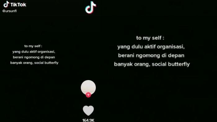 Arti Kata 'Social Butterfly', Bahasa Gaul Viral di Twitter dan TikTok ...