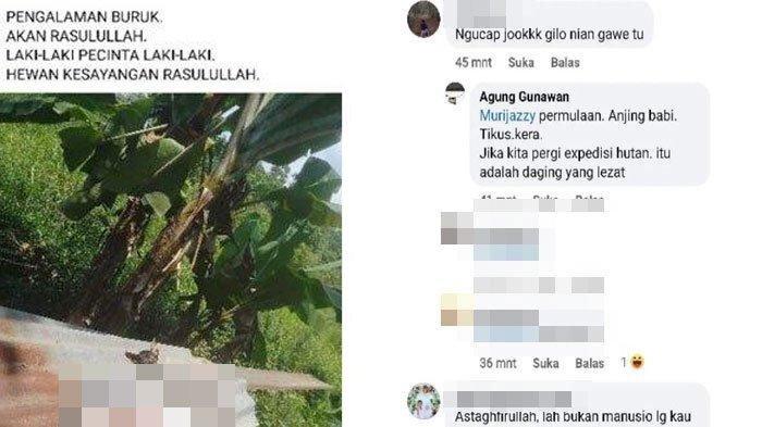 Aksi Penyiksaan Kucing Akun Agung Gunawan Viral di FB, Dikecam Pecinta Hewan: Terus Berulang ...