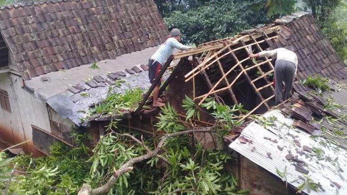 Rumah Nenek 91 Tahun di Situbondo Rusak Tertimpa Pohon Mangga yang ...