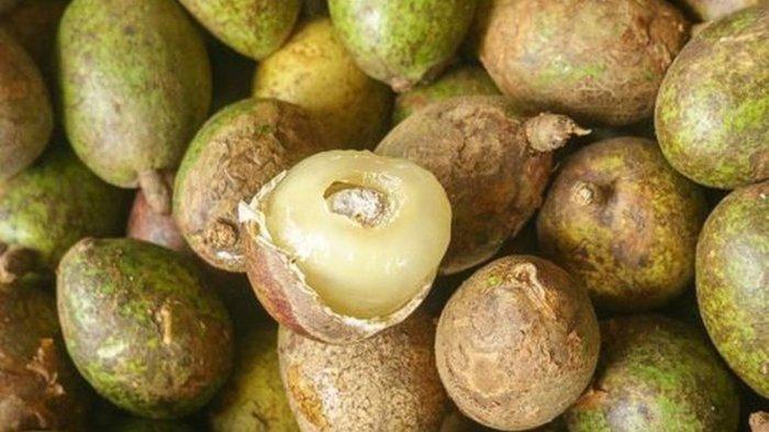 10 Khasiat Buah Matoa untuk Kesehatan Tubuh: Bisa Cegah Infeksi Virus ...
