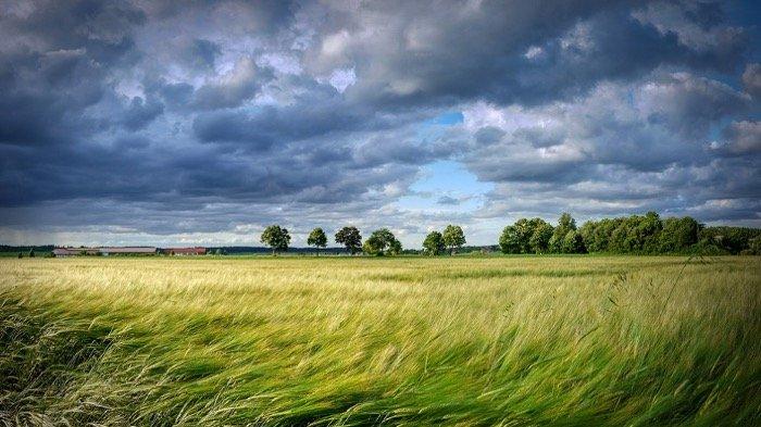 13 ARTI MIMPI Angin Sepoi-sepoi, Angin Berhembus dari Utara dan Selatan ...