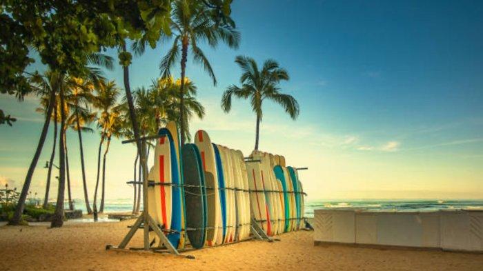 3 Arti Mimpi Papan Selancar Menurut Primbon Jawa, Rasa Ingin Bertualang ...