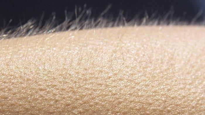 4 Arti Pertanda Bulu Kuduk Kaki Kiri Merinding Menurut Primbon Jawa ...