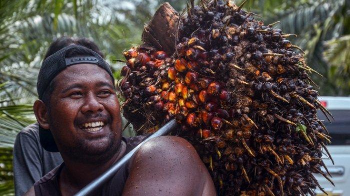 Daftar 5 Provinsi Dengan Rata-rata Upah Buruh Tertinggi di Indonesia ...