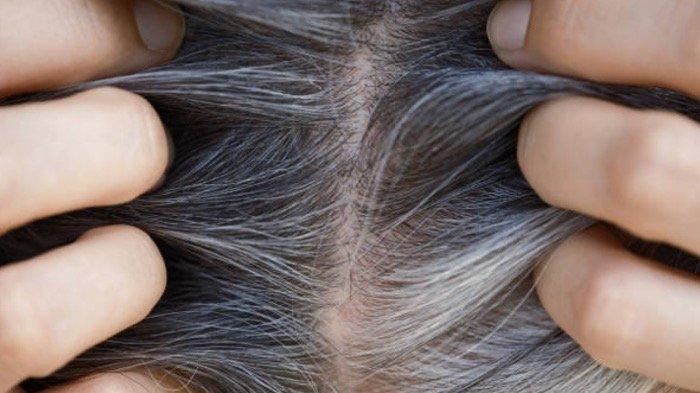 5 Arti Mimpi Rambut Beruban, Masih Muda Ubanan Menurut Primbon Jawa, Pertanda Apa? - Tribunjogja.com