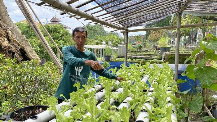 Kelompok Tani di Kota Yogyakarta Siap Pasok Bahan Pangan untuk Program ...