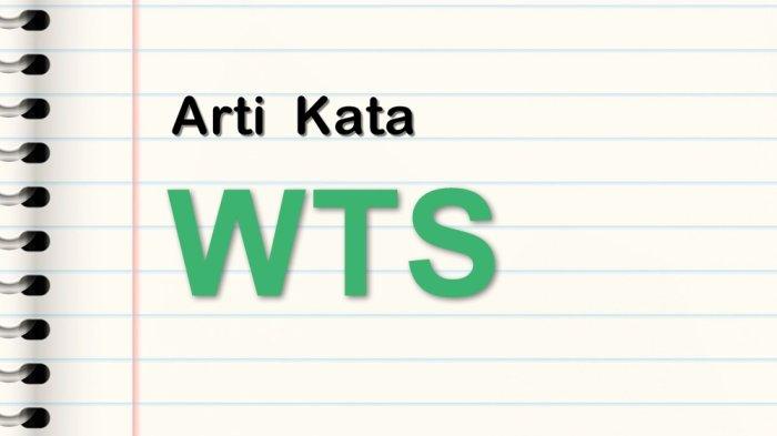 Arti Kata WTS, Bahasa Gaul Viral di Twitter untuk Kalangan K-Popers - Tribunjogja.com