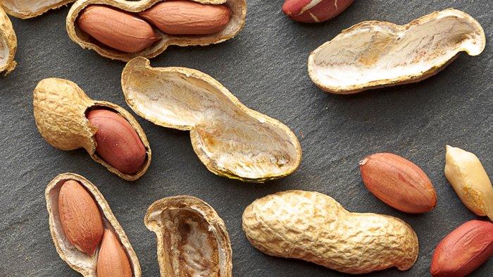Arti Mimpi Tentang Kacang: Makan Kacang, Panen Kacang, Ada Hubungannya ...