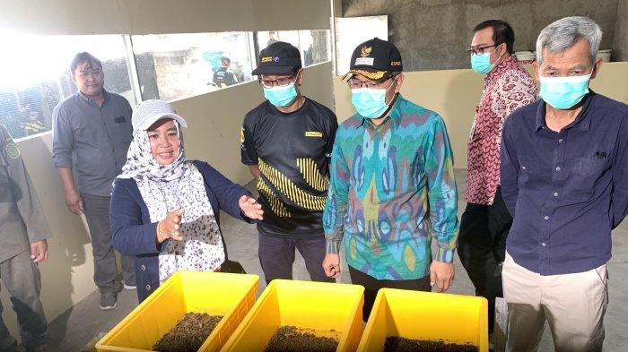 Bupati Bantul Resmikan Fasilitas Pengelolaan Sampah Organik Berbasis Black Soldier Fly ...