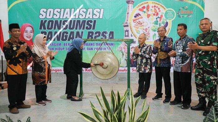 Rumah Pangan Beragam Bergizi Seimbang dan Aman Diluncurkan di ...
