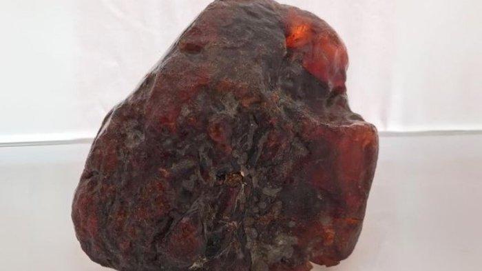 Dikira Batu Biasa, Nenek di Rumania jadikan Batu Ambar Bernilai Belasan ...