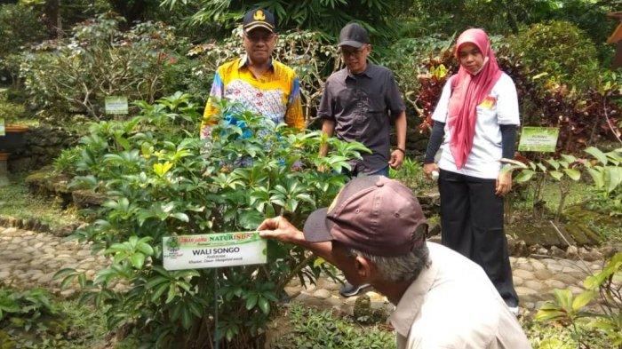 Diskominfo Kulon Progo Apresiasi PT Naturindo Fresh Olah Lahan Kritis ...
