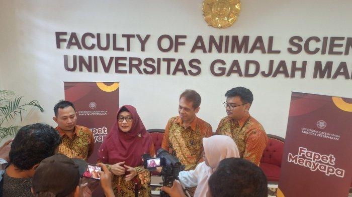 Fapet UGM Kembangkan Embrio Hewan Ternak Bermutu Melalui Metode IVF ...