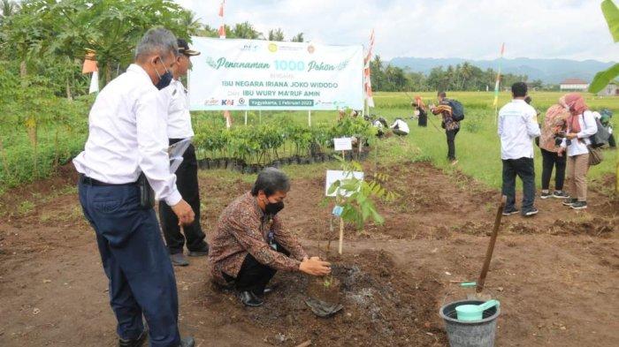 Gerakan Tanam 1.000 Pohon Serentak di 34 Provinsi - Tribunjogja.com