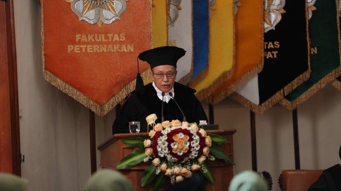 Guru Besar UGM Dorong Integrasi Peternakan Sapi di Area Perkebunan Sawit - Tribunjogja.com