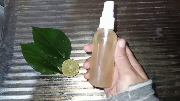 Sederhana dan Gunakan Bahan Alami, Mahasiswi UNY Ini Berikan Tutorial Pembuatan Hand Sanitizer ...