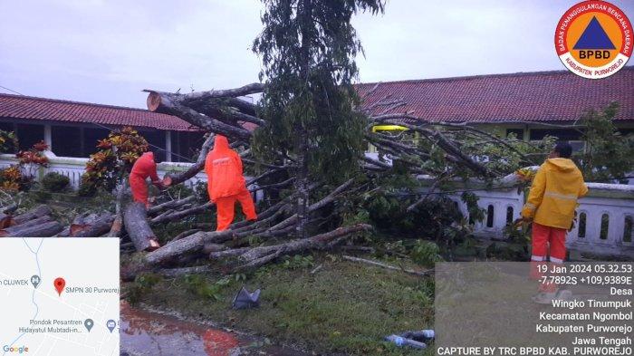 Hujan Deras Berintensitas Lama Akibatkan 5 Kejadian Longsor dan Pohon Tumbang di Purworejo ...