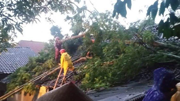 Hujan Deras di Sleman Sebabkan Pohon Tumbang dan Atap Kantor Runtuh - Tribunjogja.com