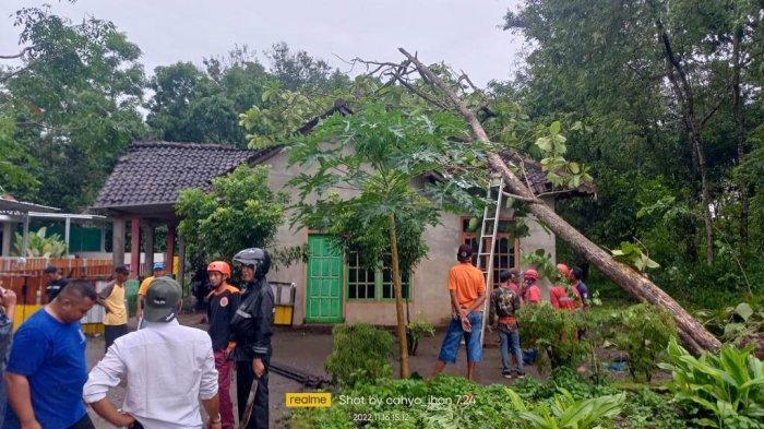 Hujan Disertai Angin di Sleman Sebabkan Pohon Tumbang hingga Atap Rumah Beterbangan ...