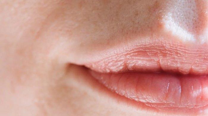 10 Cara dan Tips Mencerahkan Bibir Secara Alami - Tribunjogja.com