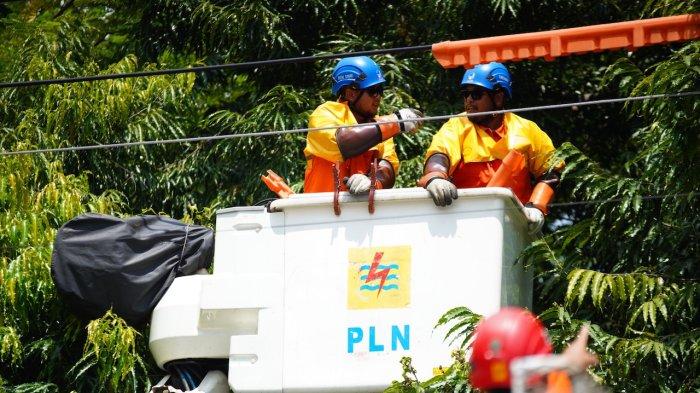 Jelang Perayaan Nataru, PLN Jateng DIY Siapkan Keandalan Kelistrikan ... Jelang Perayaan Nataru, PLN Jateng DIY Siapkan Keandalan Kelistrikan ...