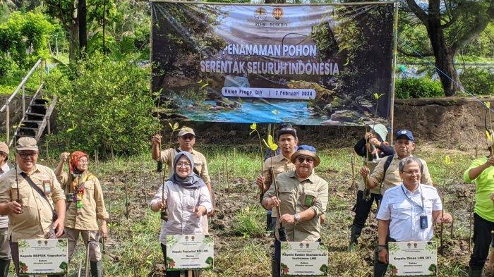KLHK Tanam 1.000 Bibit Pohon Bakau di Pesisir Selatan Kulon Progo - Tribunjogja.com