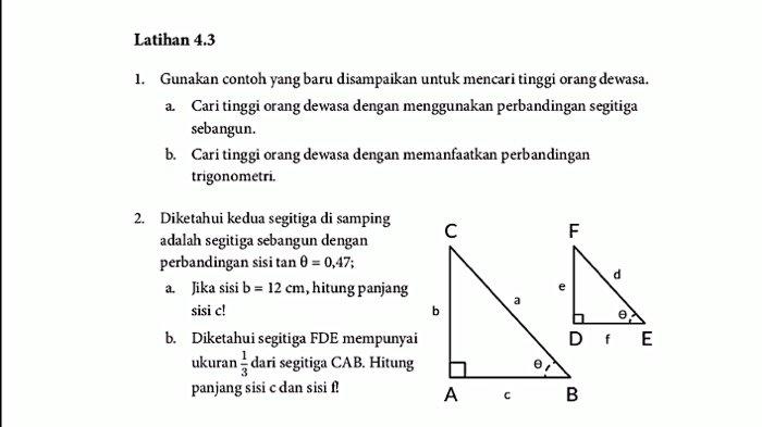 KUNCI JAWABAN Matematika SMA Kelas 10 Latihan 4.3 Halaman 105 Kurikulum Merdeka - Tribunjogja.com