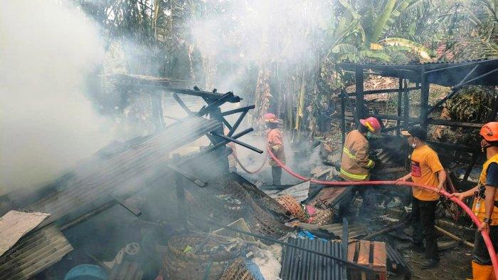 Kandang Ternak dan Gudang Terbakar di Wonosari Gunungkidul, Kerugian Diperkirakan hingga Rp 15 ...
