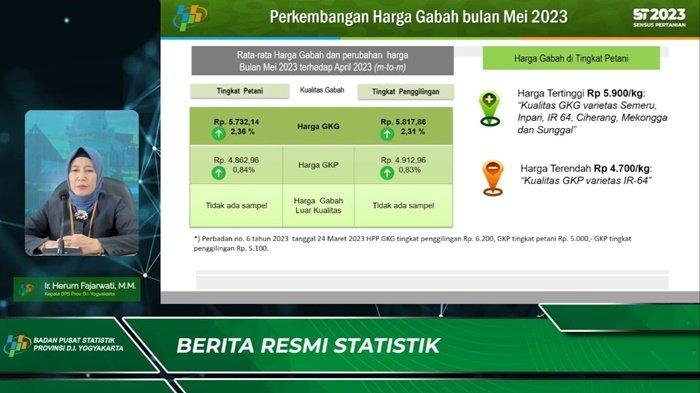 BPS DIY Catat Harga Gabah Naik Selama Mei 2023, Ini Rinciannya ...