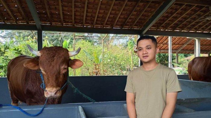 Kisah Hermawan Kelola Peternakan Sapi yang Jadi Langganan Artis dan ...