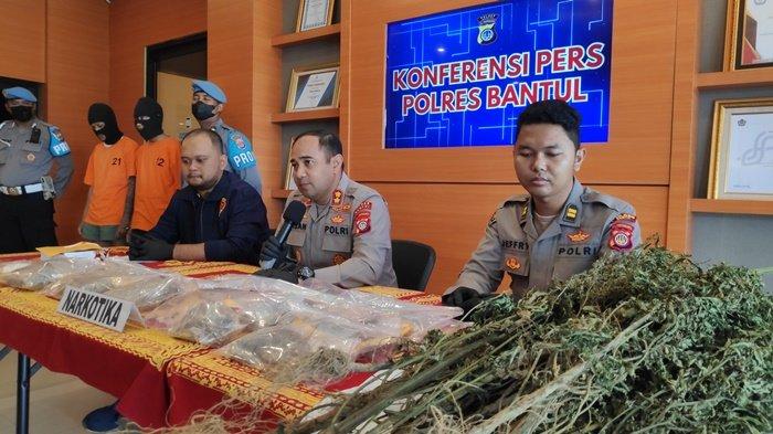Polres Bantul Kembangkan Kasus Narkoba dan Temukan 3 Hektar Ladang Ganja di Aceh - Tribunjogja.com