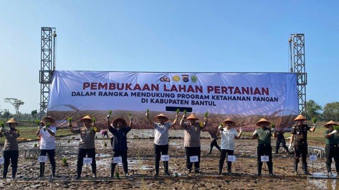 Lahan Wedi Kengser Seluas 7,2 Hektare di Bantul Ditanami Padi untuk Dukung Ketahanan Pangan ...