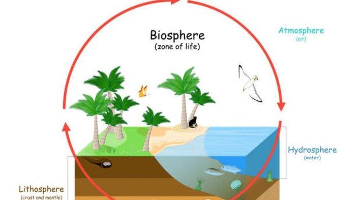 Fungsi Lapisan Bumi Hidrosfer, Atmosfer, Litosfer Lengkap dengan Fungsinya - Halaman all ...