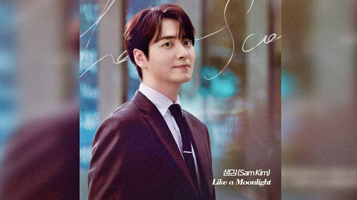 Lirik Lagu dan Terjemahan Like a Moonlight Sam Kim OST Love Scout Part ...