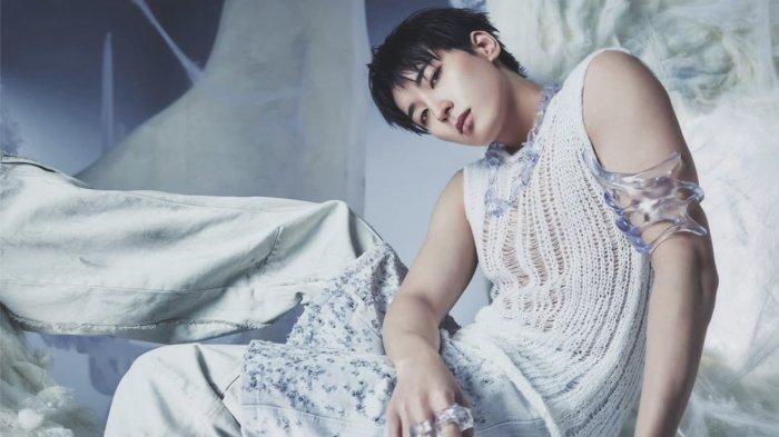 Lirik Lagu dan Terjemahan 99,9 Persen - Wonwoo SEVENTEEN dari Album HAPPY BURSTDAY - Tribunjogja.com