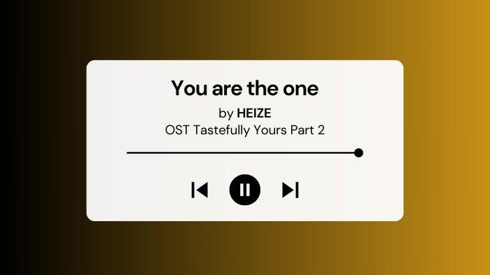 Lirik Lagu dan Terjemahan You are the one Heize OST Tastefully Yours ...