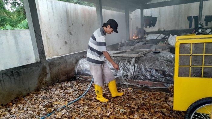 Melihat Pengolahan Pupuk Kompos dari Limbah Organik di Yogyakarta ...