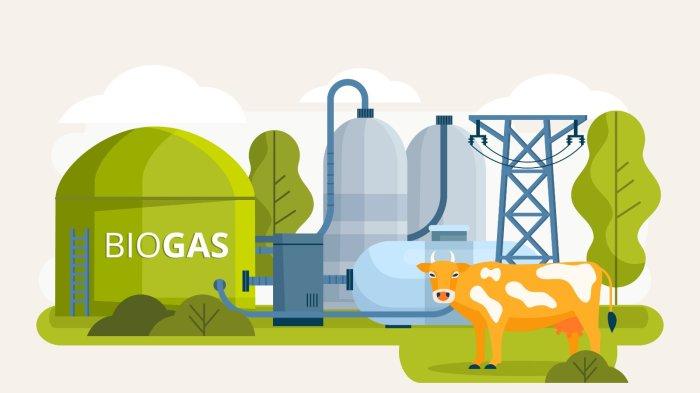 Apa Itu Biogas? Berikut Pengertian dan Manfaatnya - Tribunjogja.com