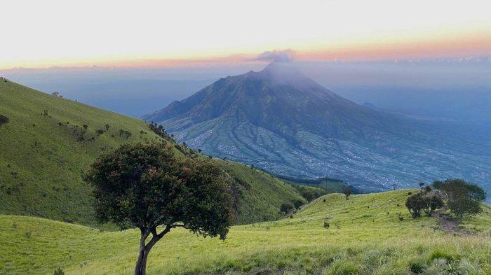 CEK Selengkapnya Ulasan Tentang SIMAKSI Gunung Merbabu. - Tribunjogja.com