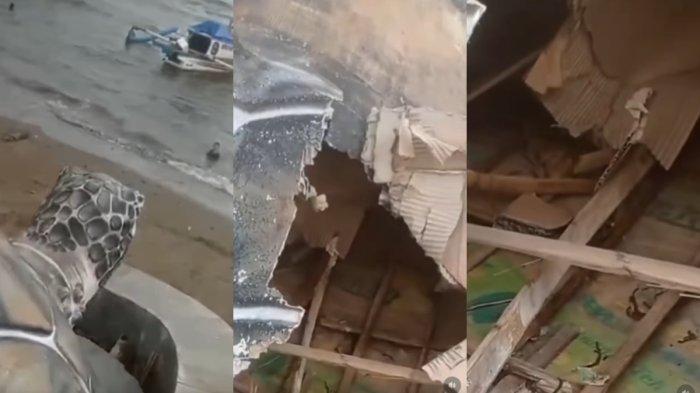 Komentar Kontraktor Proyek soal Patung Penyu Rp15 M di Sukabumi yang Viral Diduga Berbahan ...