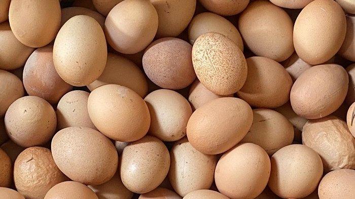 Mengenal Balut: Makanan Khas Filipina, Berupa Embrio Bebek yang Viral ...