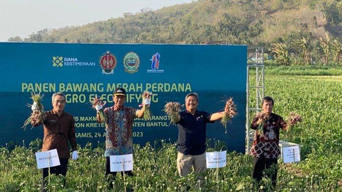 Pemda DIY Dukung Optimalisasi Pantai Selatan Lewat Budidaya Bawang ...