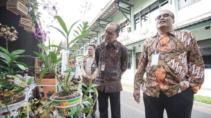 Pemda DIY Terus Tingkatkan Diversifikasi Pangan untuk Ketahanan Pangan ...
