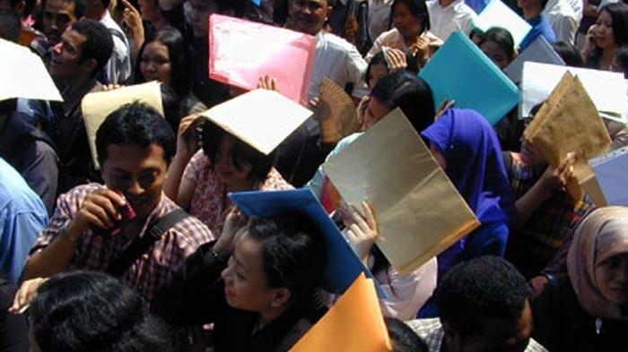 Info Lowongan Kerja Jogja TERBARU Agustus 2022, untuk Lulusan SMA/SMK Sederajat - Tribunjogja.com