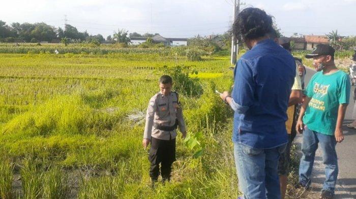 Seorang Pencari Rumput di Bantul Temukan Bayi Perempuan yang Diduga ...