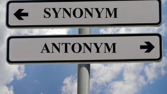 30 Contoh Kata Sinonim yang Sering Dipakai Sehari-hari - Tribunjogja.com