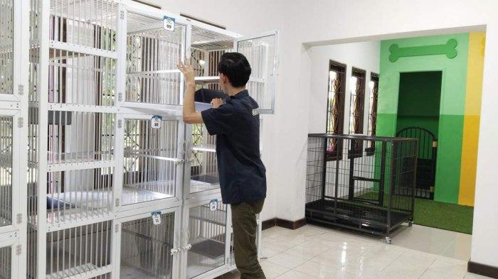 Petshop Indonesia Hadirkan Pet Hotel dengan Biaya Mulai Rp35ribu Per Hari - Tribunjogja.com