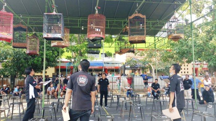 Ratusan Burung Kicau Tampil Memukau pada Lomba Kicau Nasional di Kota ...